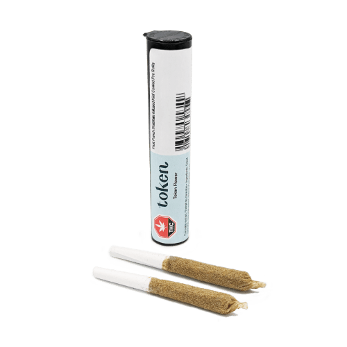 Token | Fruit Punch Infused Kief Coated Pre-Rolls | 2x0.5g Sativa