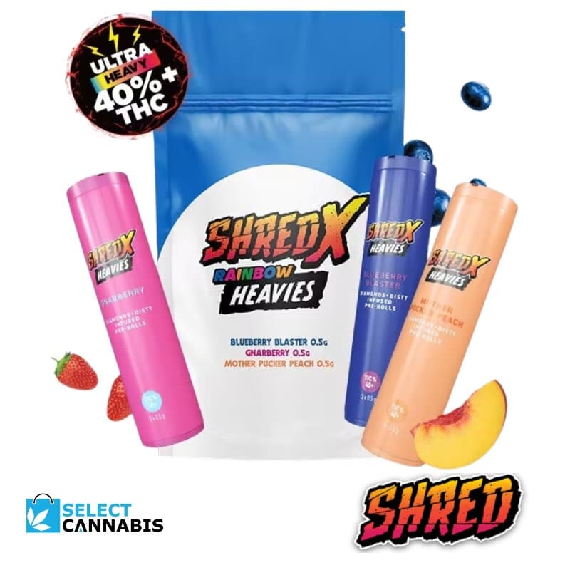 Shred X | Rainbow Heavies Infused Pre-Rolls | 3x0.5g