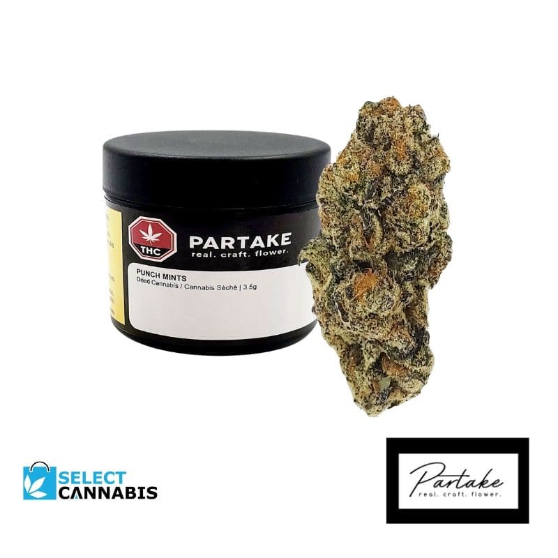 Partake | Punch Mints | 7g